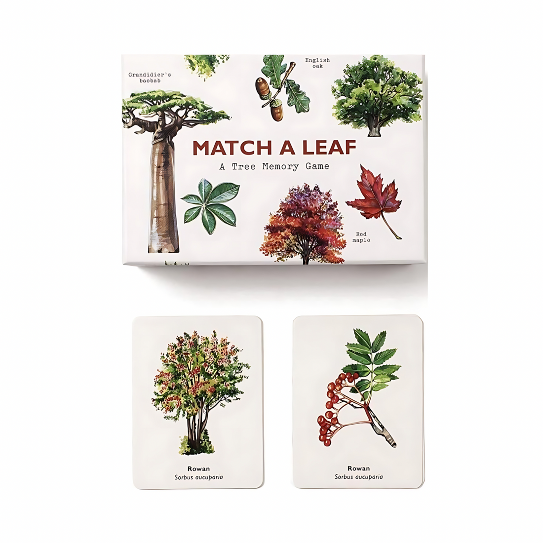 Match a Leaf | Educational Nature Games | Trees - Alder & Alouette